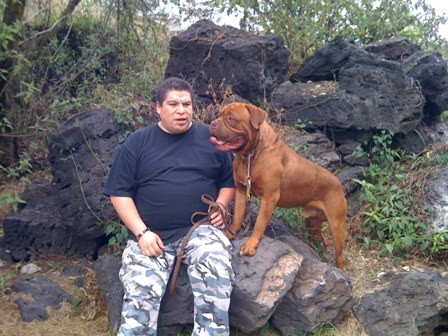 Ficha de Drako de Tosh-K Bull Heart (Un perro de JERRYelGENERAL ...